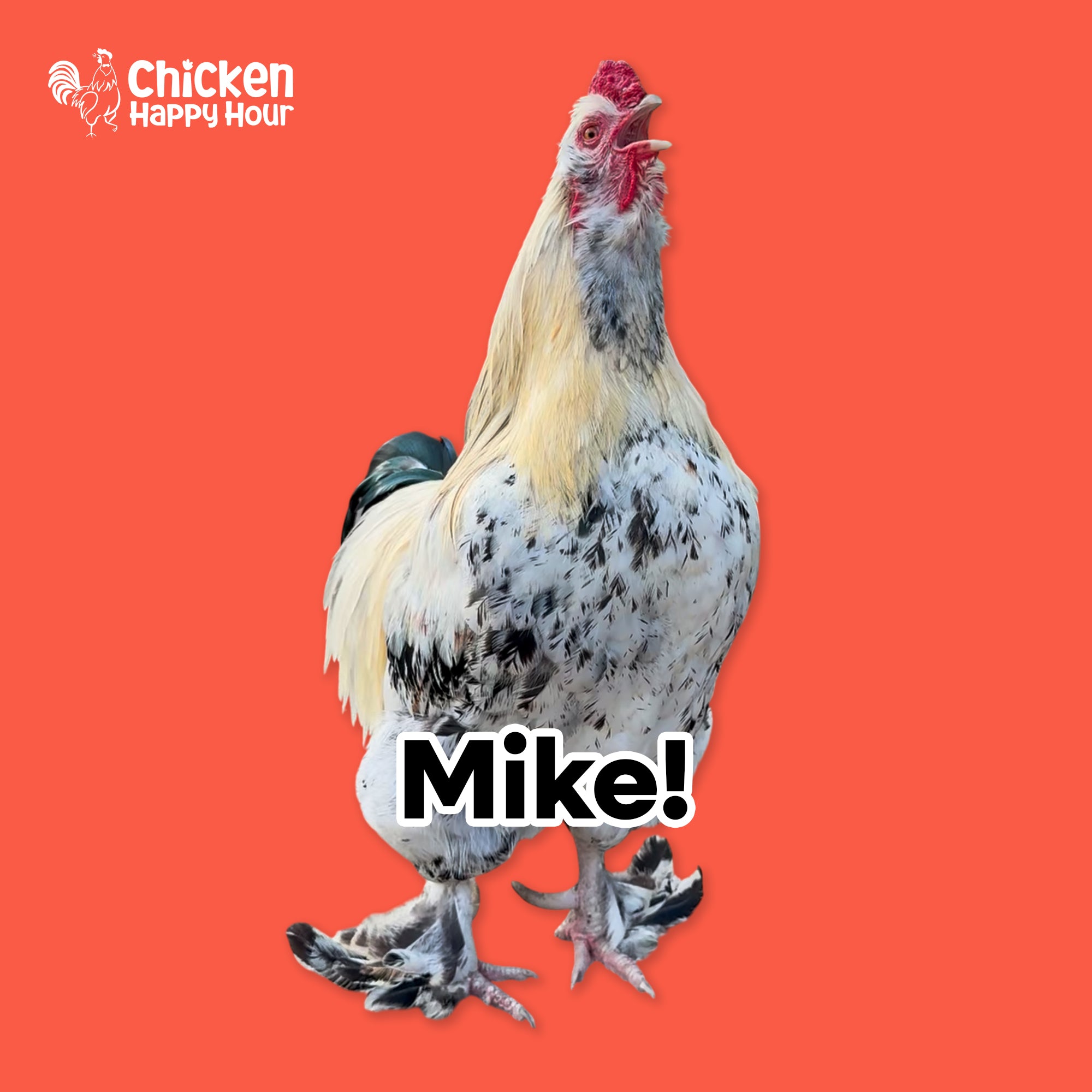 Mike Ringtone – Chicken Happy Hour